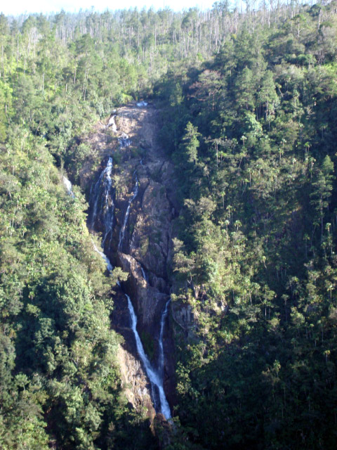 PhotoGallery Belize submontane broadleaf forest habitats - A Birder's ...